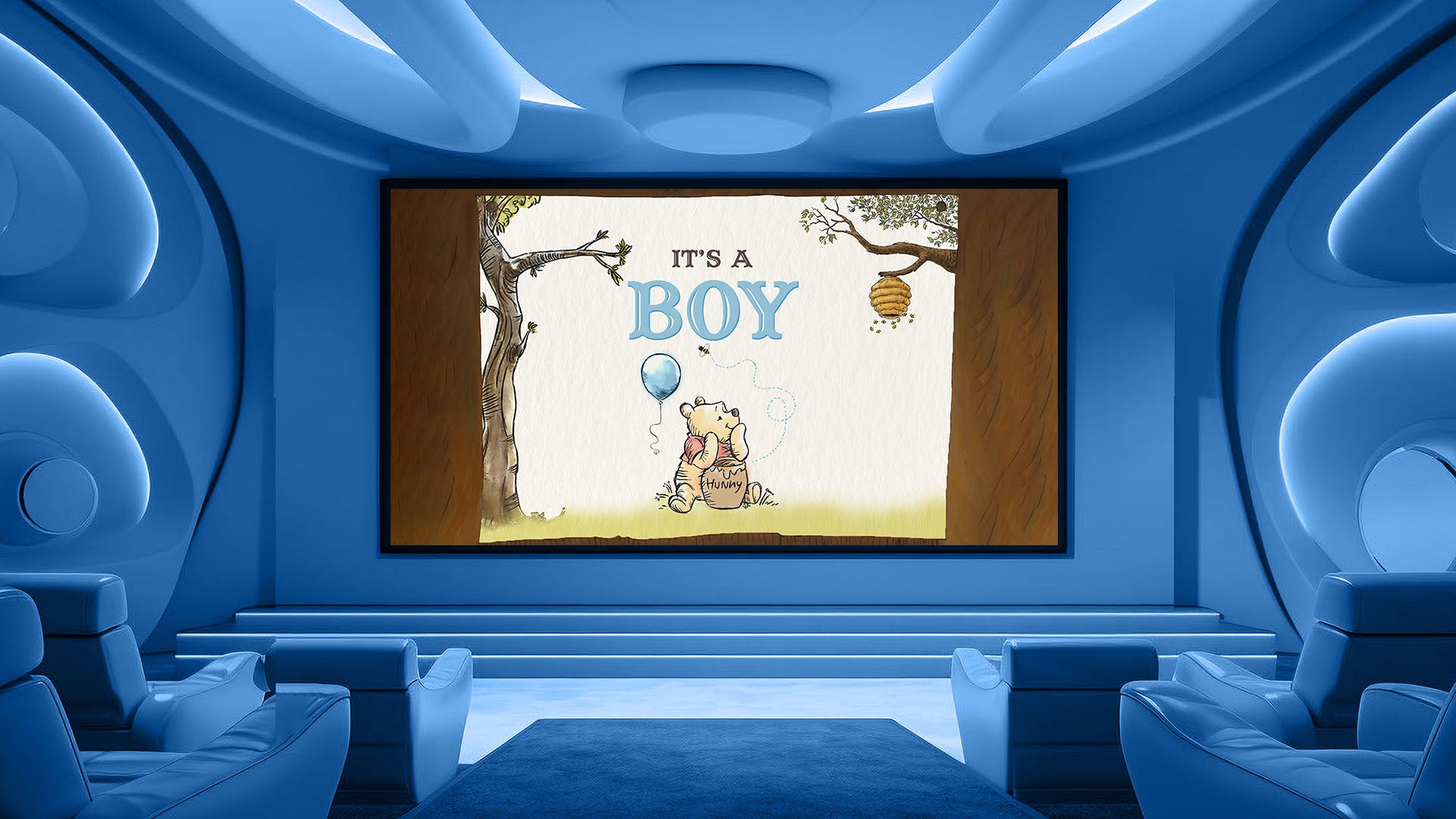 Winnie The Pooh Gender Reveal Movie Boy – Crsti Custom Designs